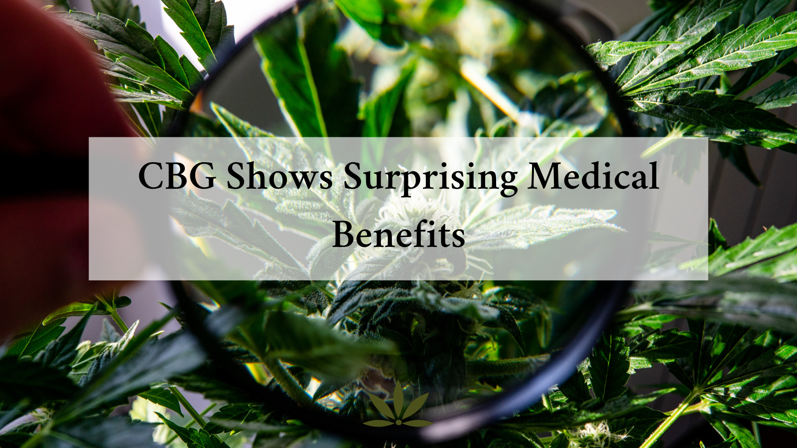 CBG Shows 5 Surprising Medical Benefits - Compassionate Clinics of America